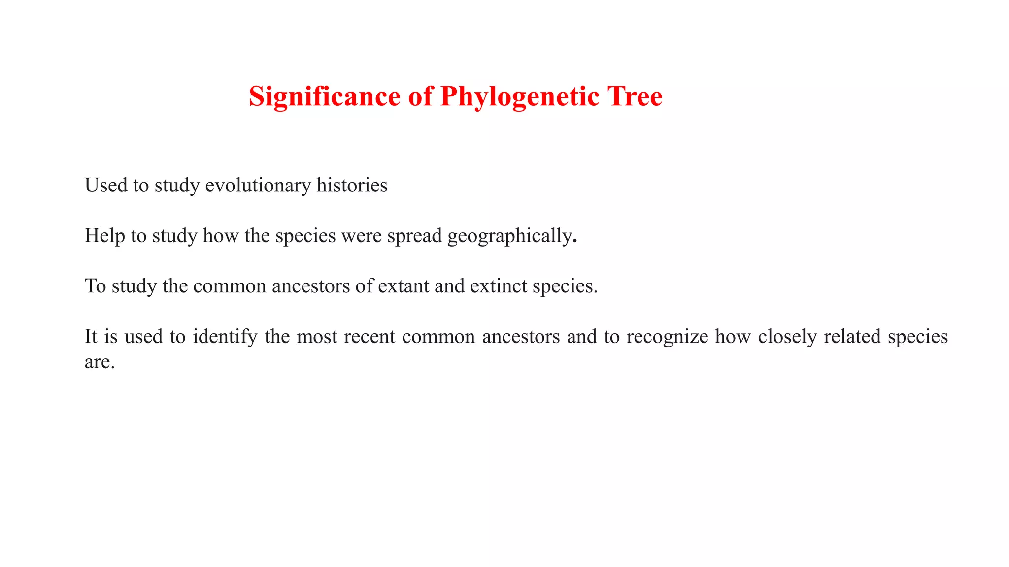 phylogenetic tree.pptx