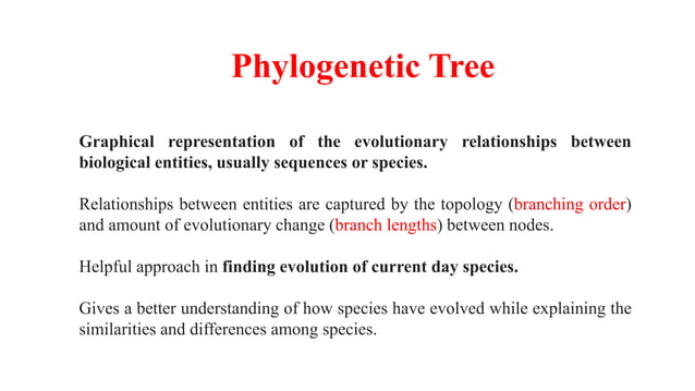 phylogenetic tree.pptx