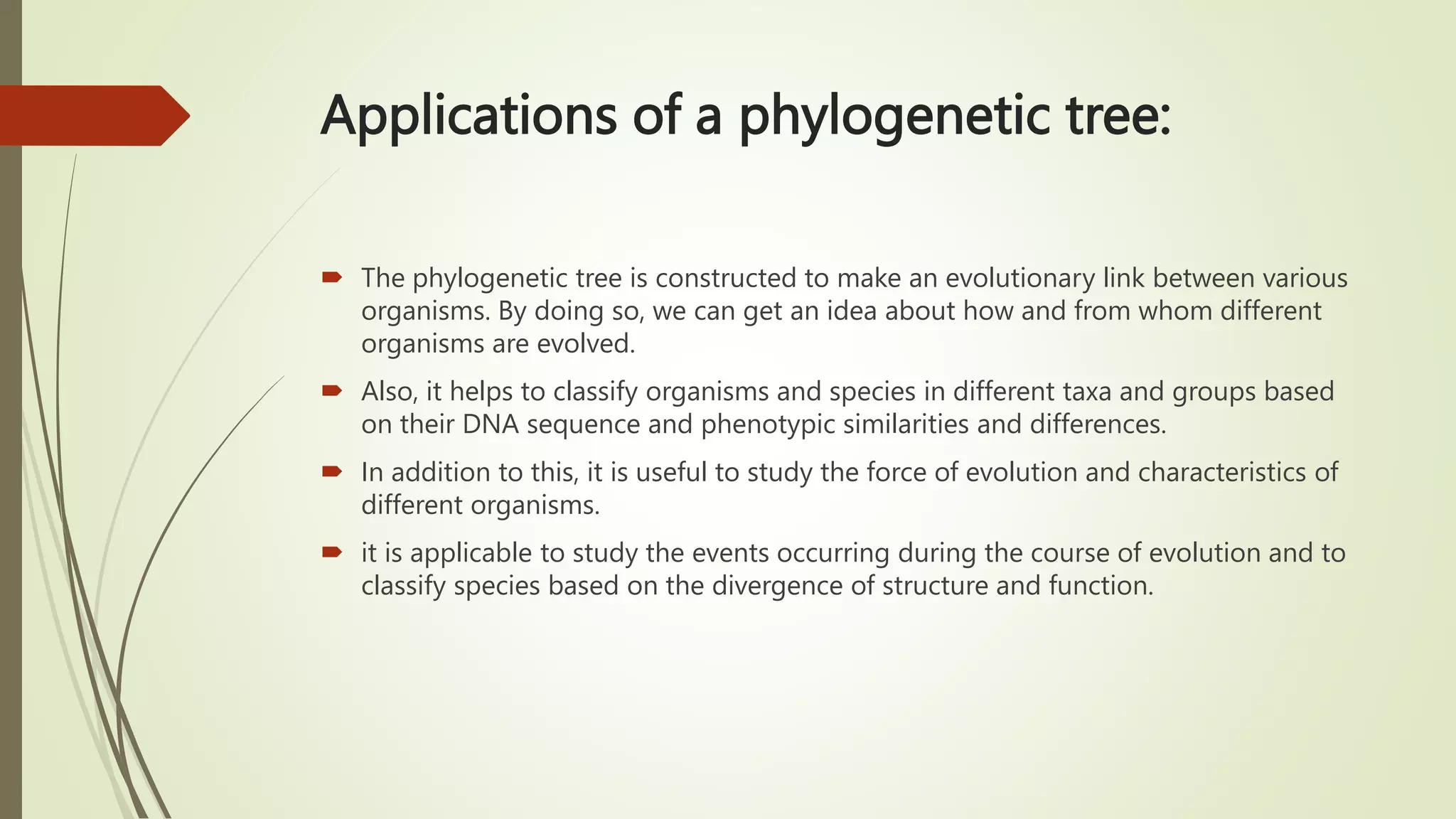 phylogenetic tree.pptx | Genealogy and Ancestry | Hobbies & Interests