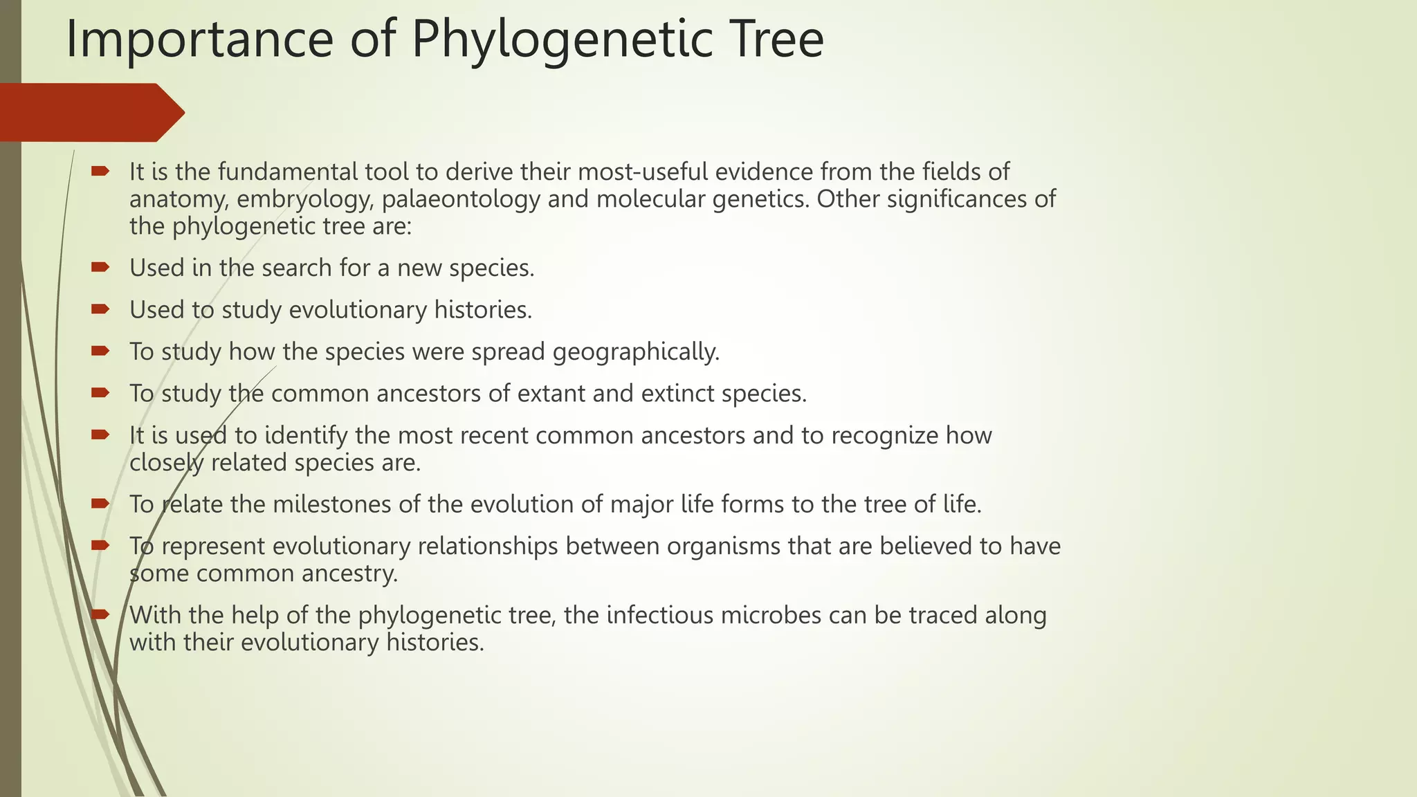 phylogenetic tree.pptx | Genealogy and Ancestry | Hobbies & Interests