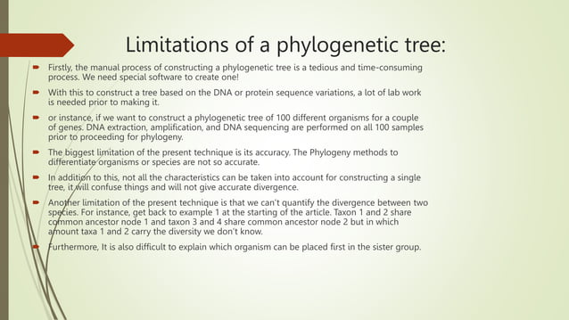 phylogenetic tree.pptx | Genealogy and Ancestry | Hobbies & Interests