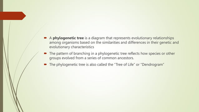 phylogenetic tree.pptx | Genealogy and Ancestry | Hobbies & Interests