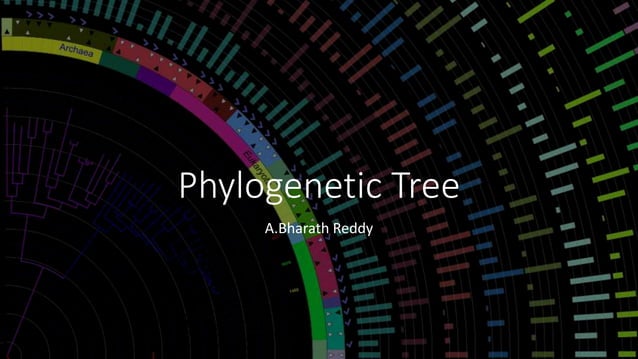phylogenetic tree.pptx