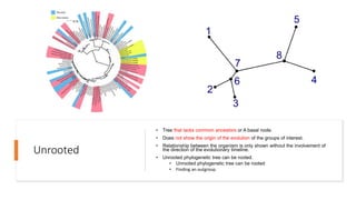 phylogenetic tree.pptx