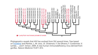 phylogenetic tree.pptx