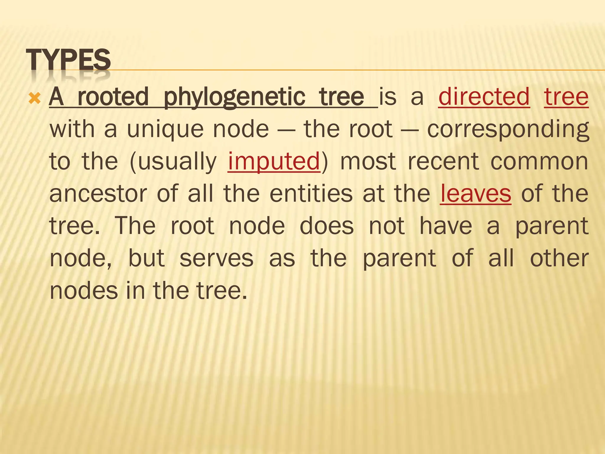 PHYLOGENETIC TREE.pdf classification of plants | PDF