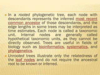 PHYLOGENETIC TREE.pdf classification of plants | PDF