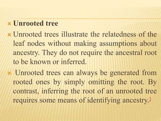 PHYLOGENETIC TREE.pdf classification of plants | PDF