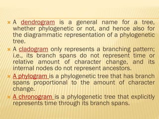 PHYLOGENETIC TREE.pdf classification of plants | PDF