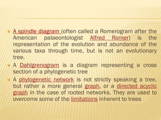 PHYLOGENETIC TREE.pdf classification of plants | PDF