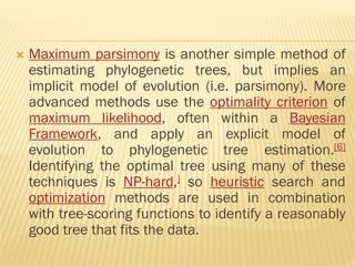 PHYLOGENETIC TREE.pdf classification of plants | PDF
