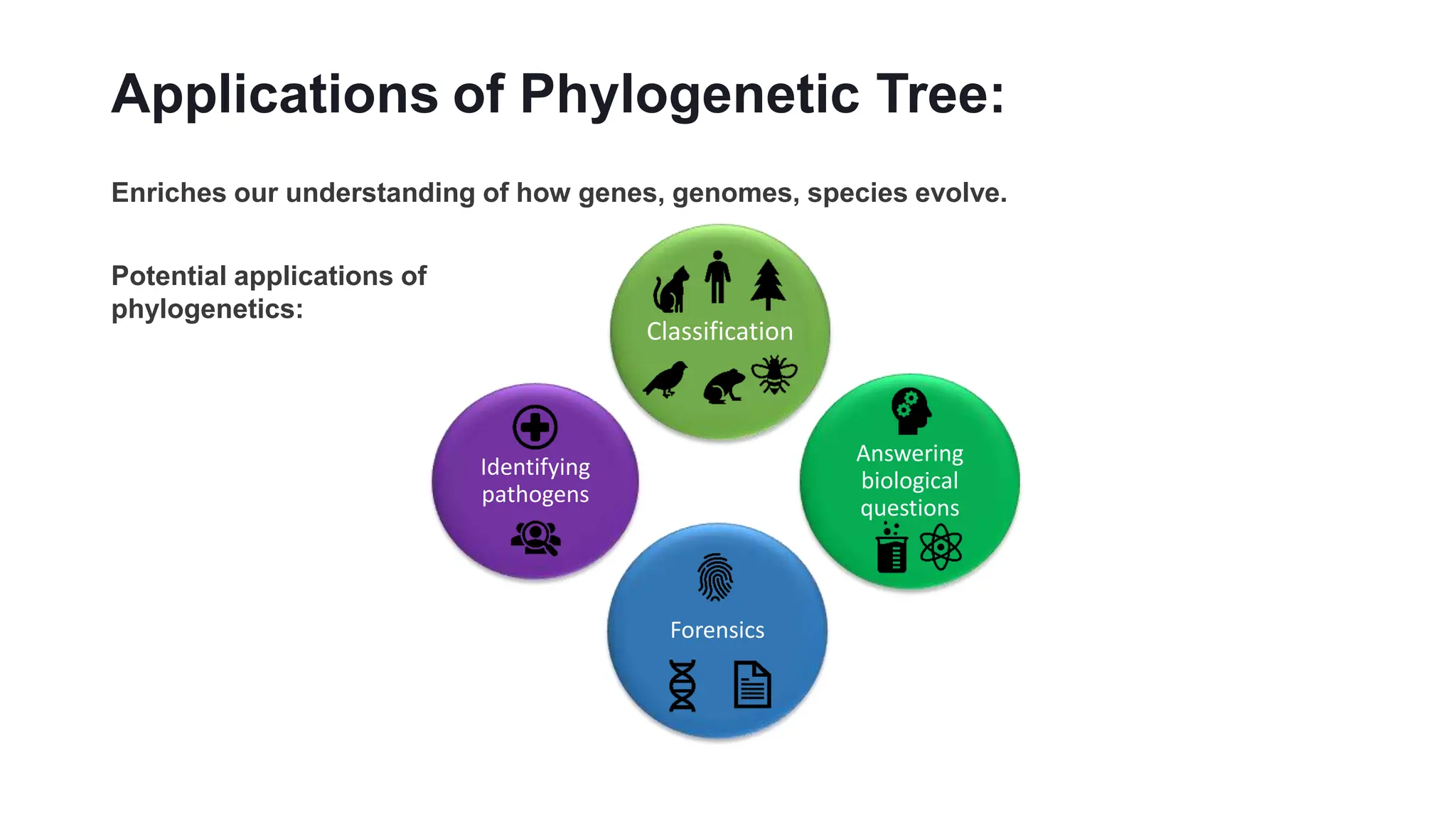 Phylogenetic tree construction step by step | PPTX