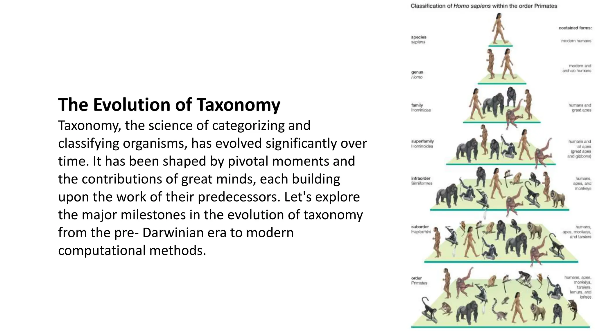 Phylogenetic tree construction step by step | PPTX