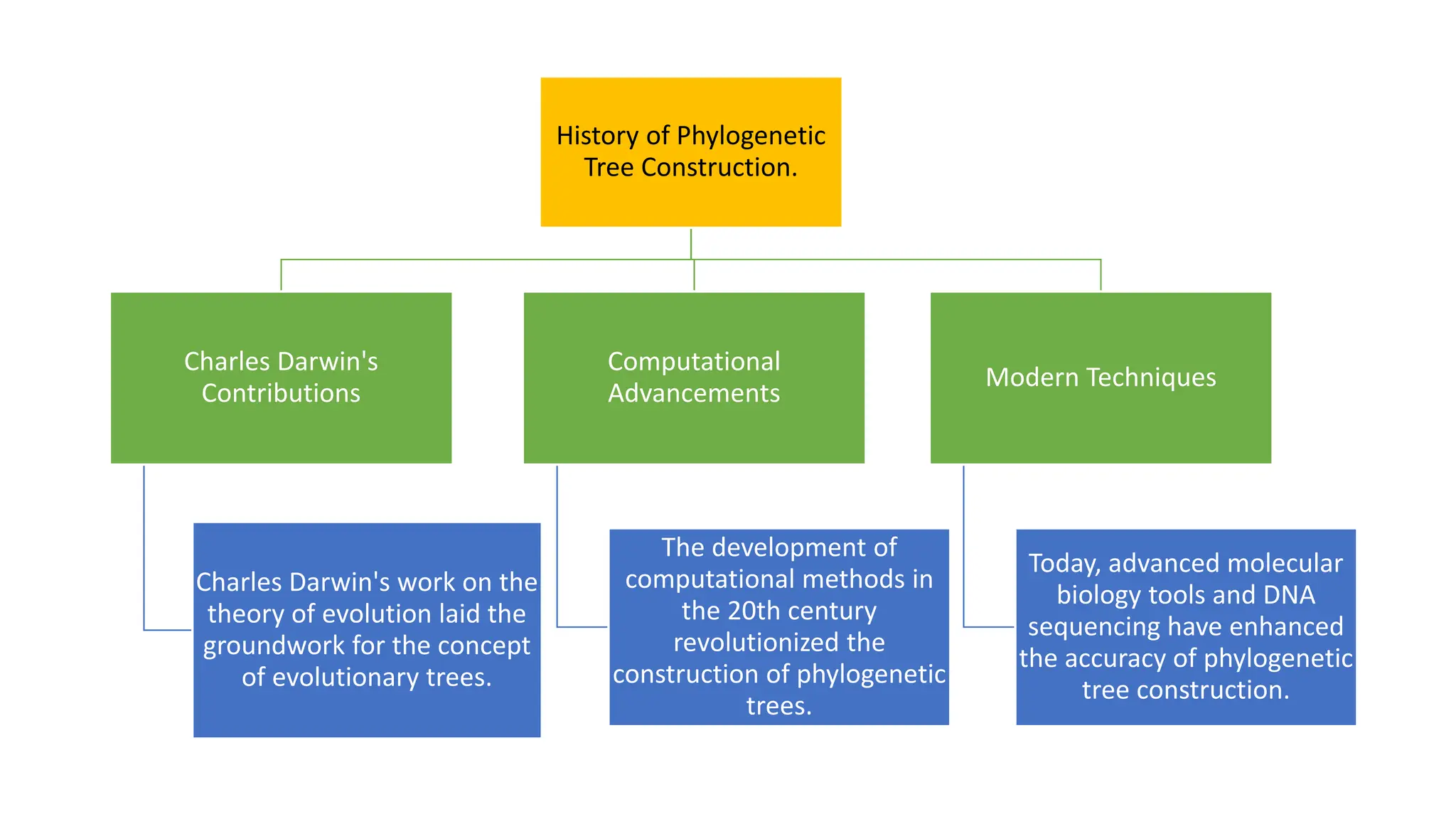 Phylogenetic tree construction step by step | PPTX