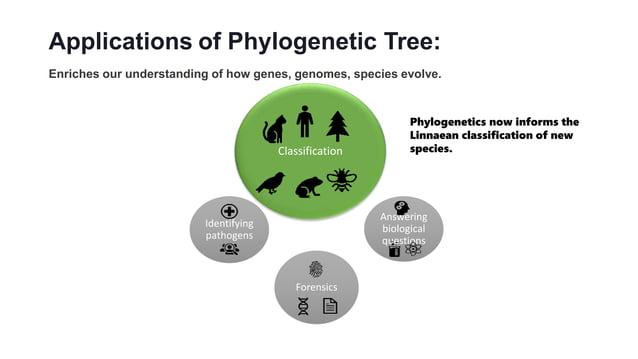 Phylogenetic tree construction step by step | PPTX | Biological ...