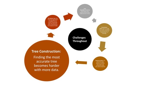 Phylogenetic tree construction step by step | PPTX | Biological ...