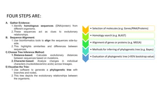 Phylogenetic tree construction step by step | PPTX