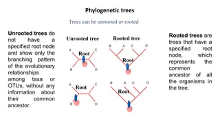 Basics of constructing Phylogenetic tree.ppt