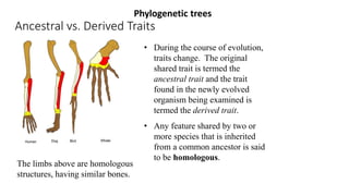 Basics of constructing Phylogenetic tree.ppt