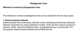 Basics of constructing Phylogenetic tree.ppt