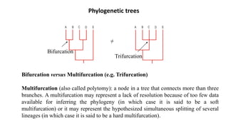 Basics of constructing Phylogenetic tree.ppt