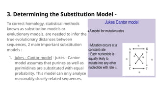 Presentation about phylogenetic tree and its construction methods. | PPTX