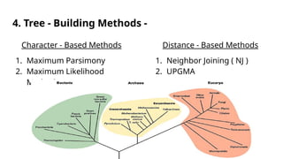 Presentation about phylogenetic tree and its construction methods. | PPTX