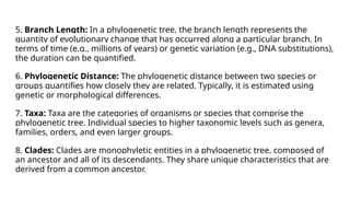 Presentation about phylogenetic tree and its construction methods. | PPTX