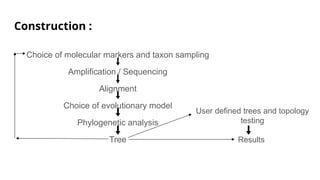 Presentation about phylogenetic tree and its construction methods. | PPTX
