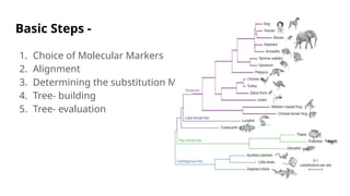 Presentation about phylogenetic tree and its construction methods. | PPTX