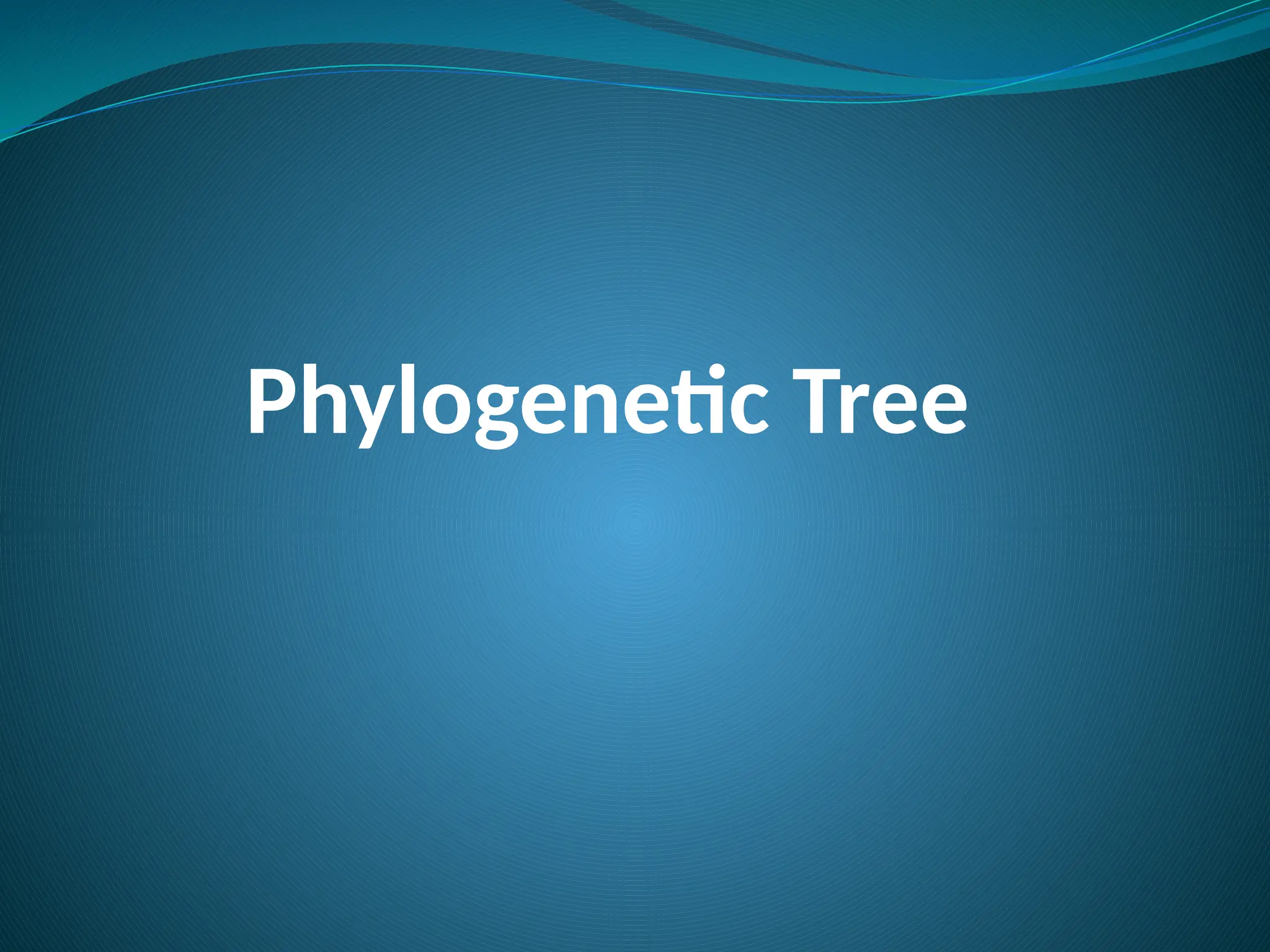 Phylogenetic Tree- Introduction, Mode of Classification | PPT