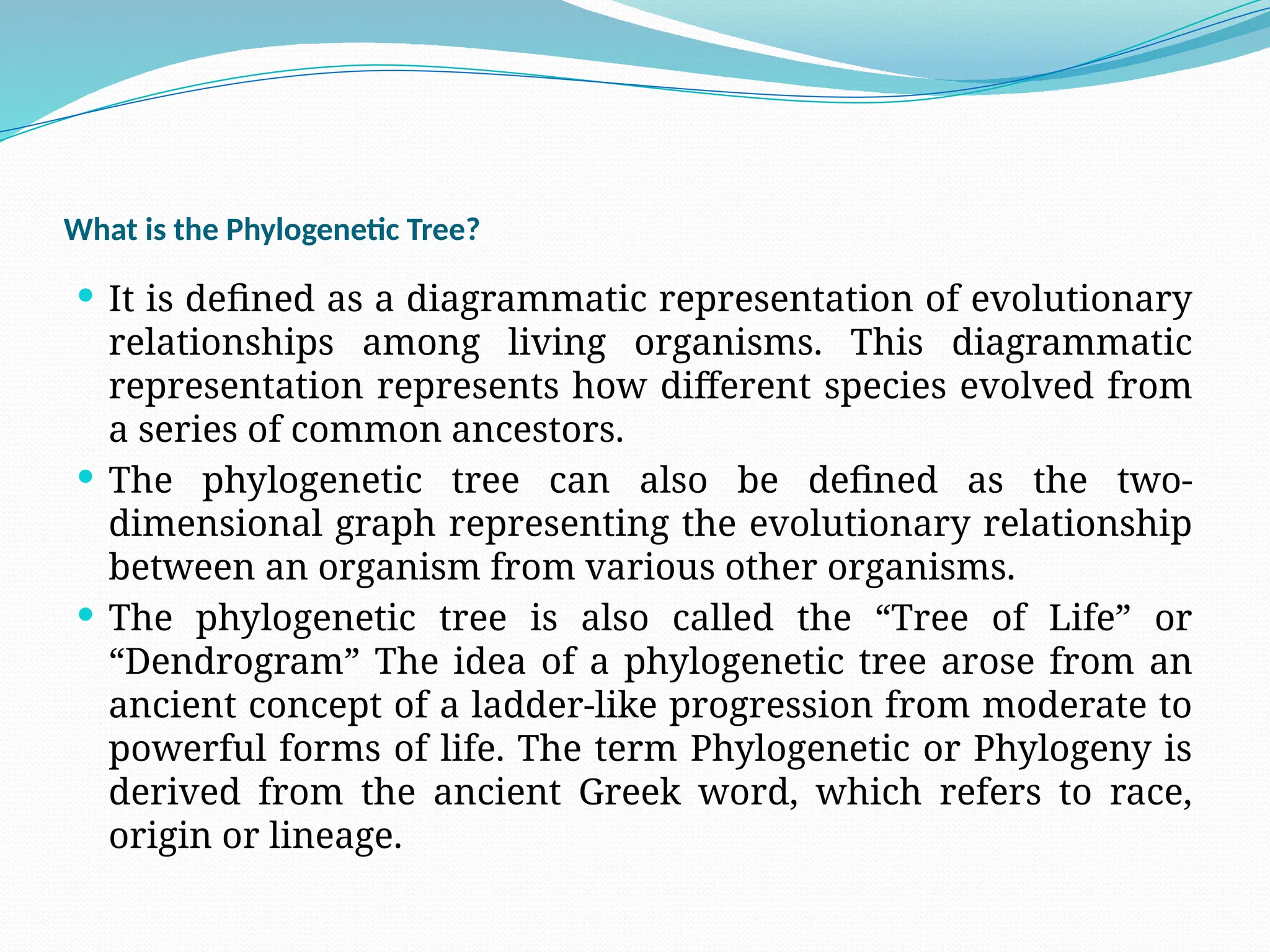 Phylogenetic Tree- Introduction, Mode of Classification | PPT