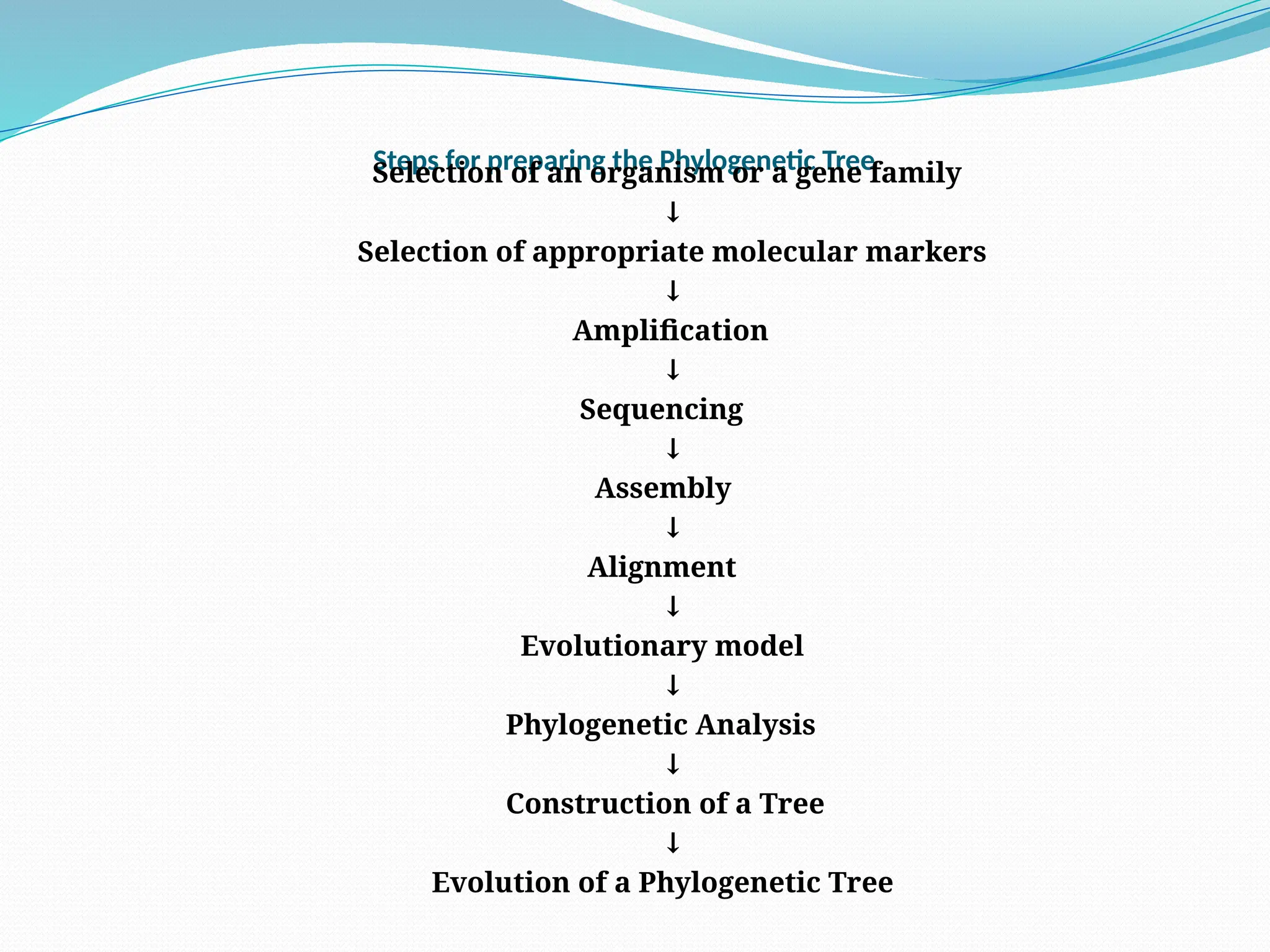 Phylogenetic Tree- Introduction, Mode of Classification | PPT Phylogenetic Tree- Introduction, Mode of Classification | PPT