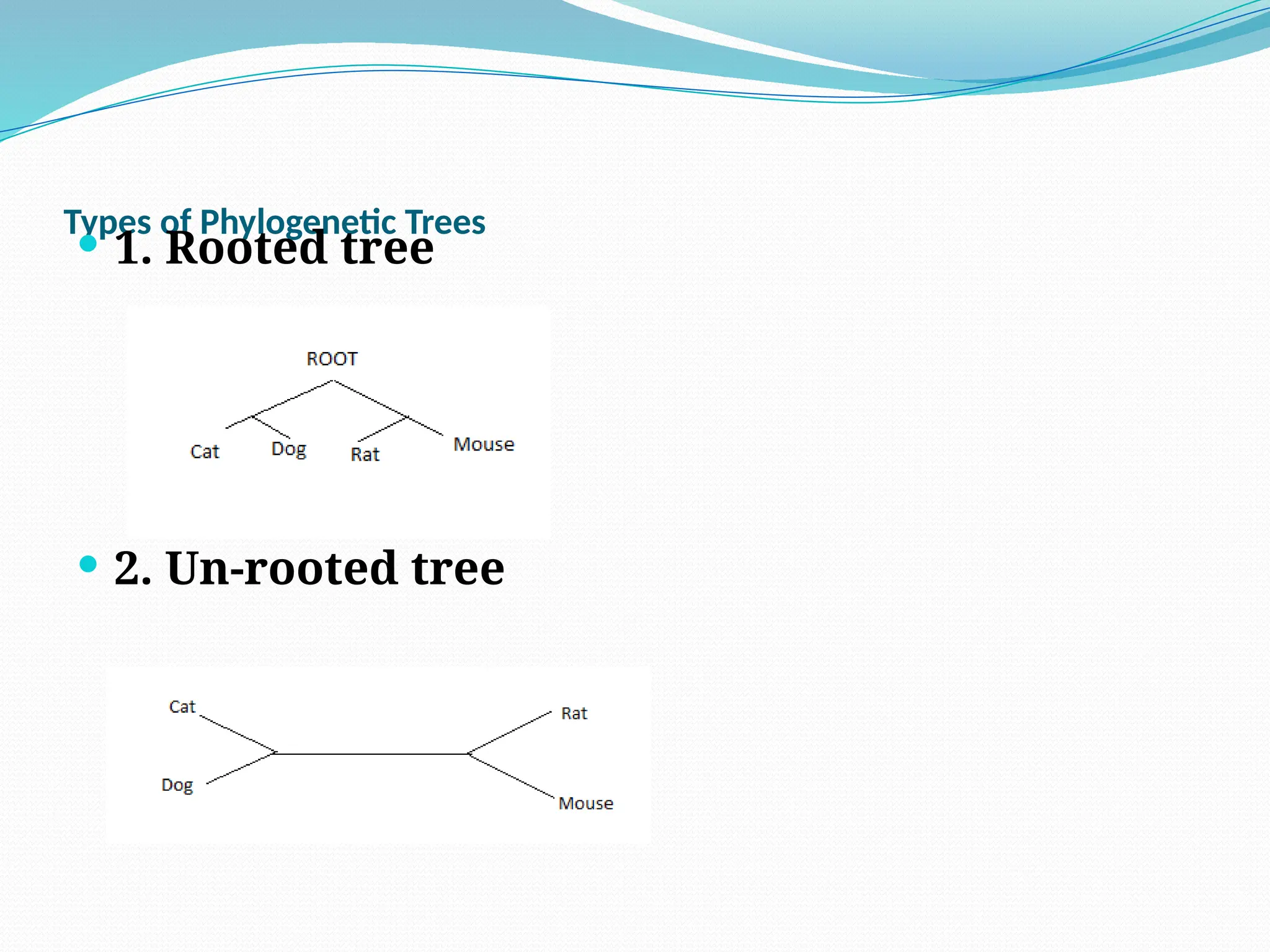 Phylogenetic Tree- Introduction, Mode of Classification | PPT Phylogenetic Tree- Introduction, Mode of Classification | PPT