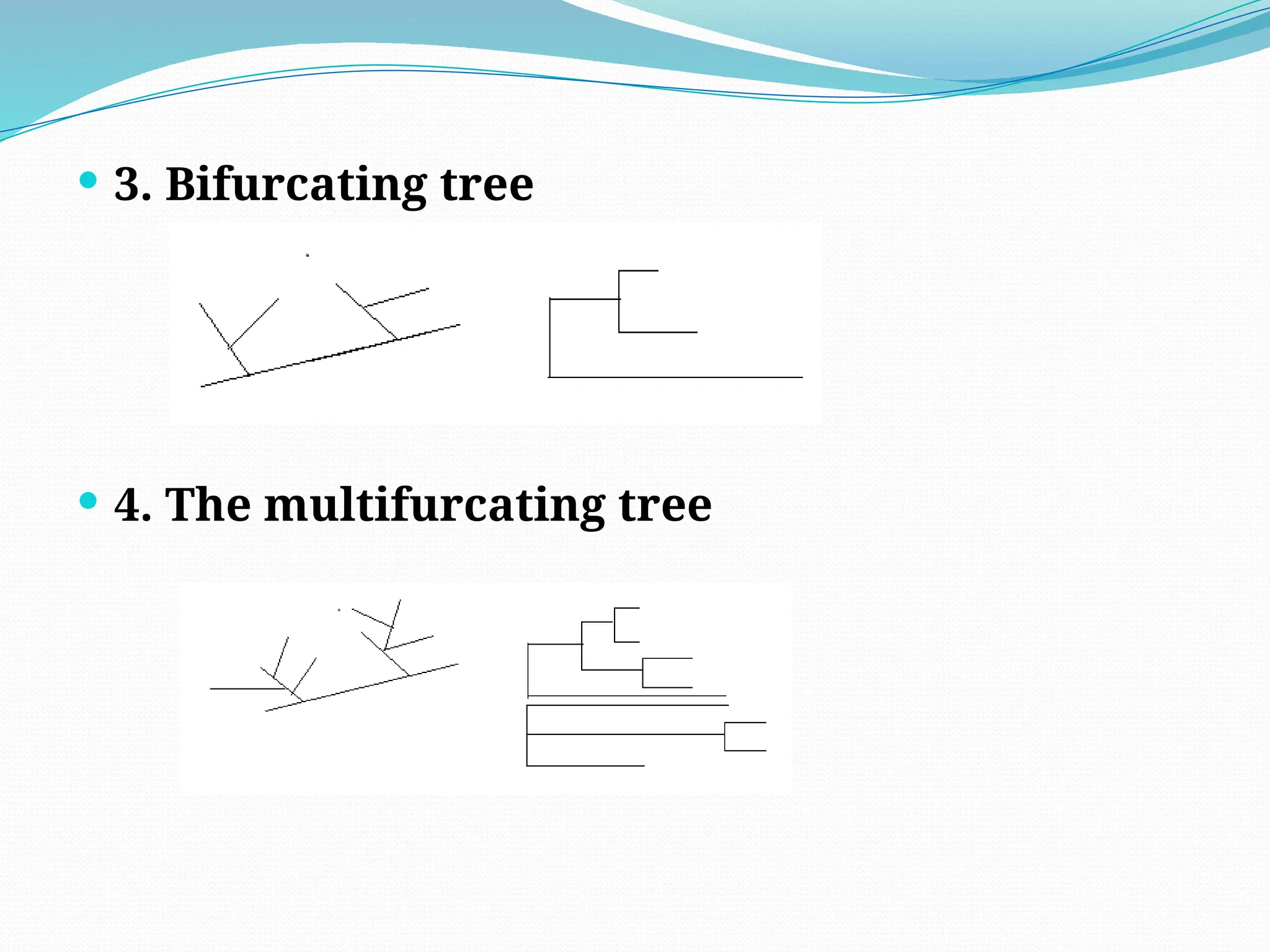 Phylogenetic Tree- Introduction, Mode of Classification | PPT Phylogenetic Tree- Introduction, Mode of Classification | PPT