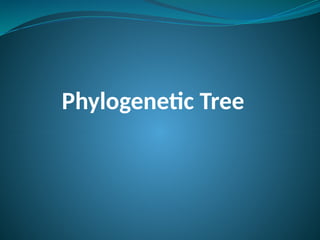 Phylogenetic Tree- Introduction, Mode of Classification | PPT