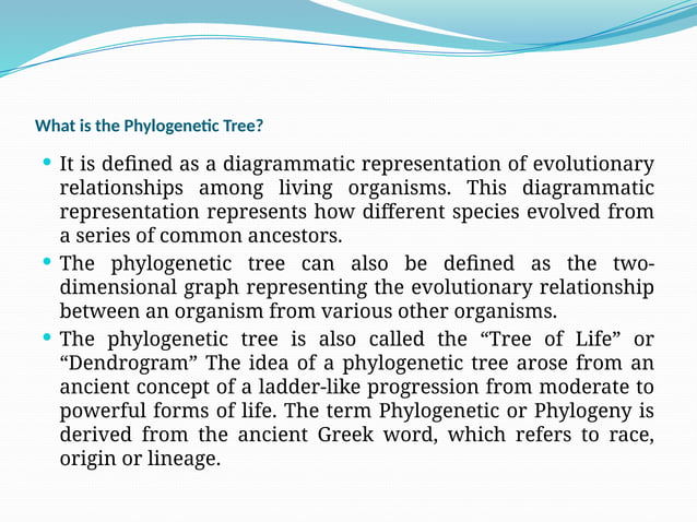 Phylogenetic Tree- Introduction, Mode of Classification | PPT Phylogenetic Tree- Introduction, Mode of Classification | PPT