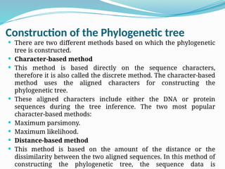 Phylogenetic Tree- Introduction, Mode of Classification | PPT