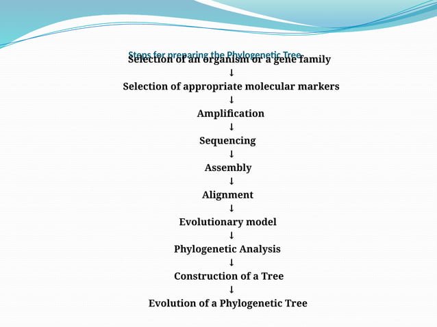 Phylogenetic Tree- Introduction, Mode of Classification | PPT