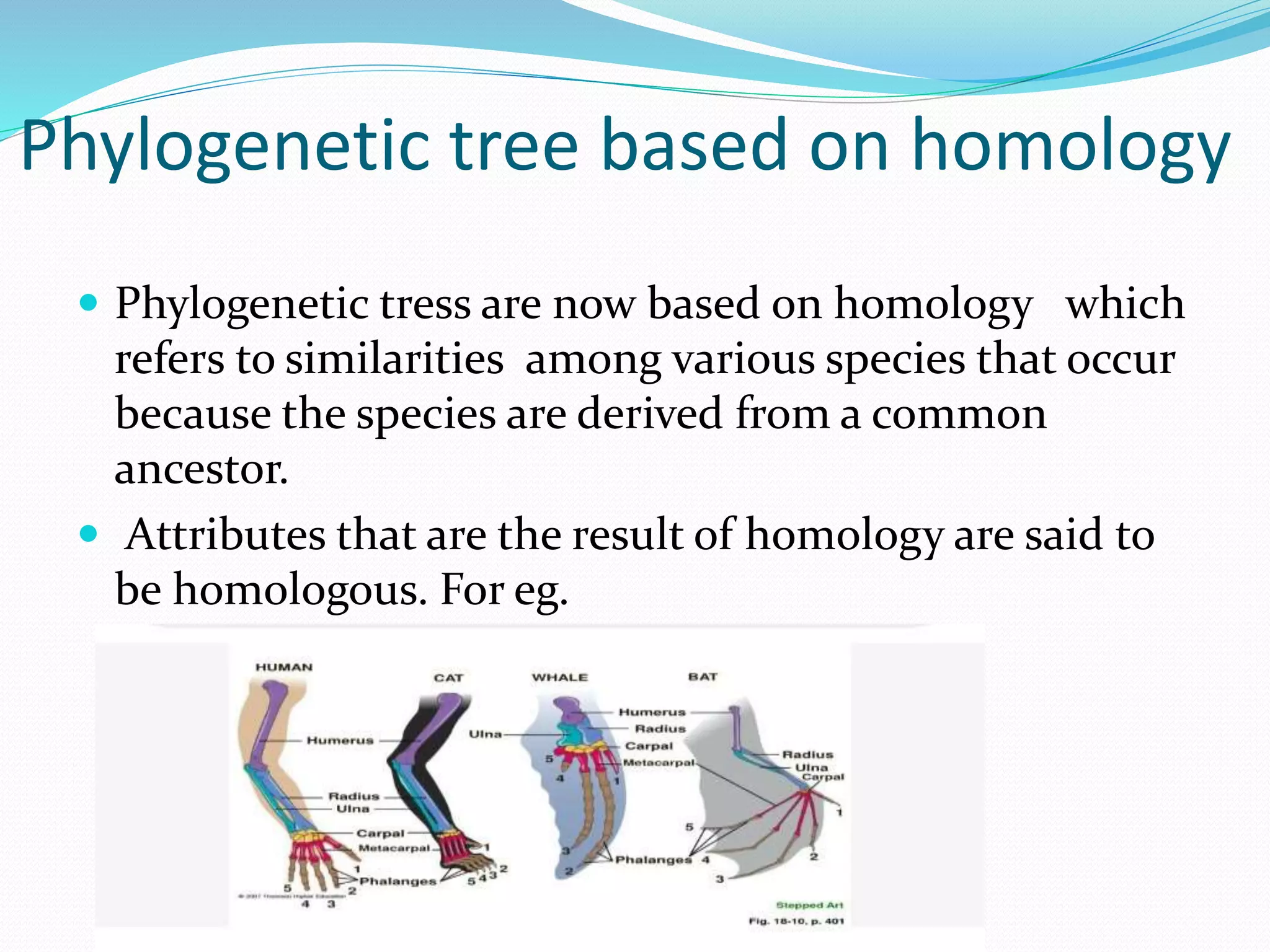 Phylogenetic tree and its construction and phylogeny of | PPTX
