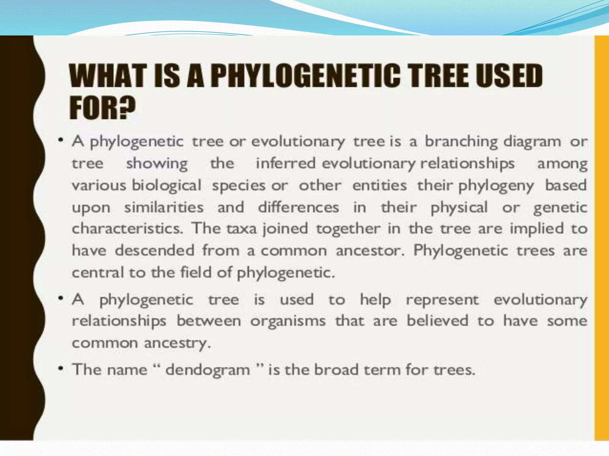 Phylogenetic tree and its construction and phylogeny of | PPTX
