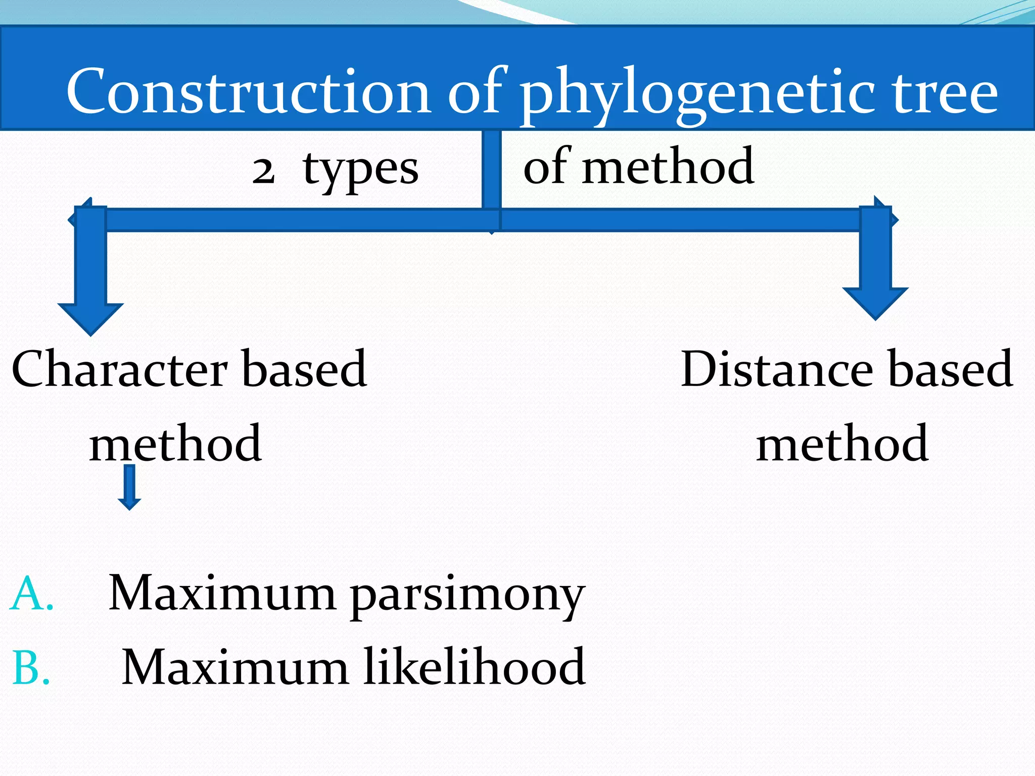 Phylogenetic tree and its construction and phylogeny of | PPTX