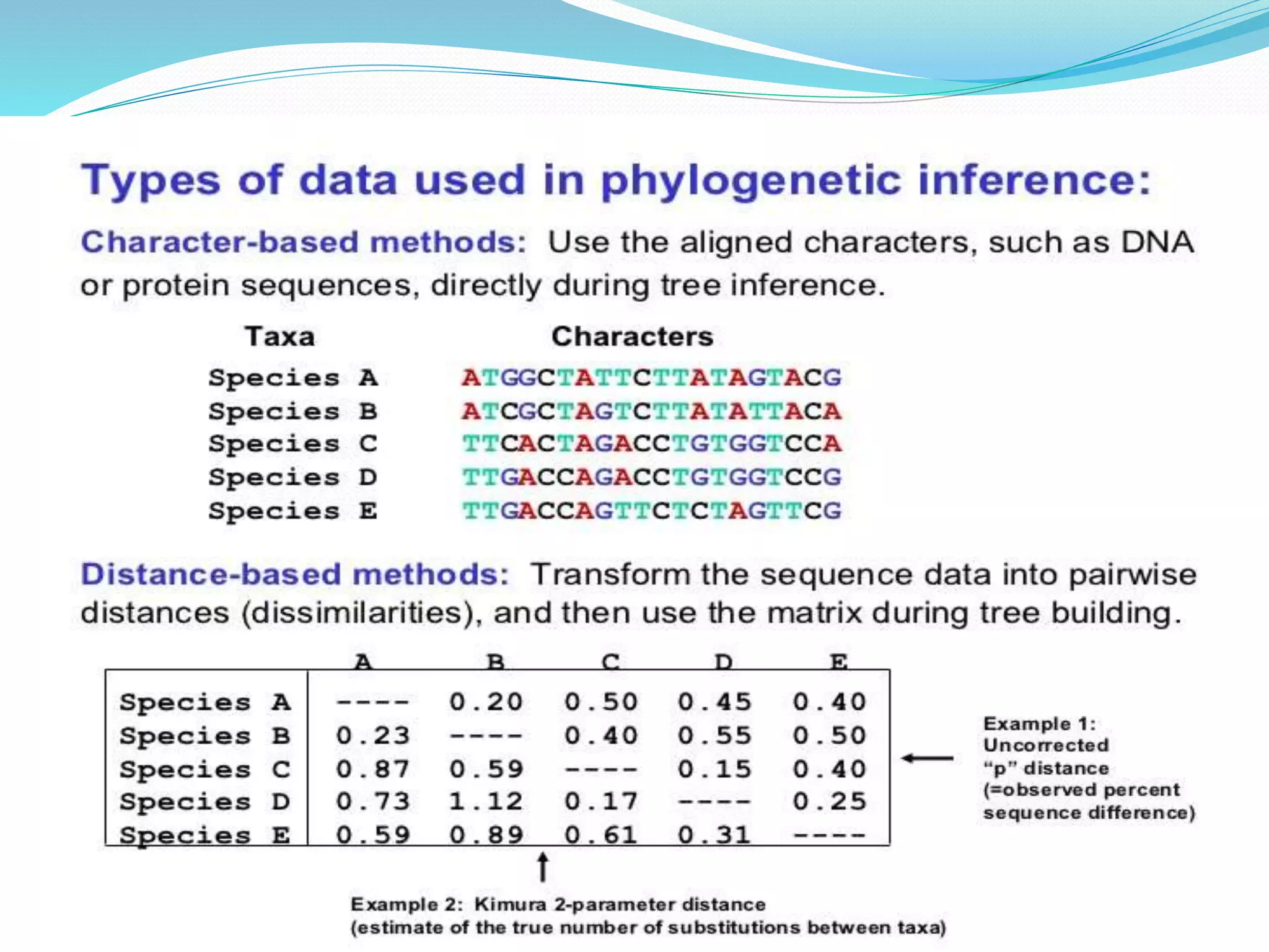 Phylogenetic tree and its construction and phylogeny of | PPTX