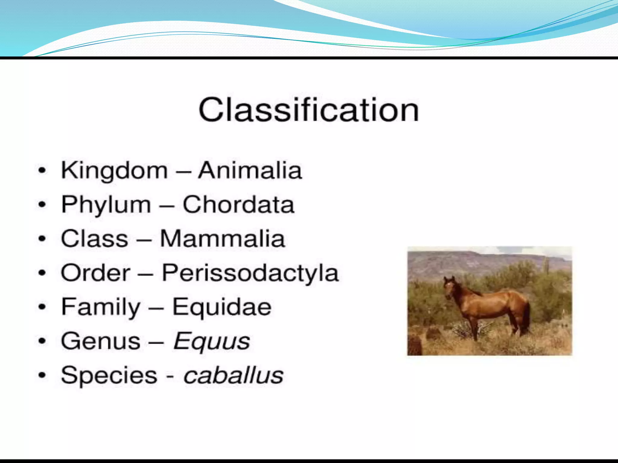 Phylogenetic tree and its construction and phylogeny of | PPTX