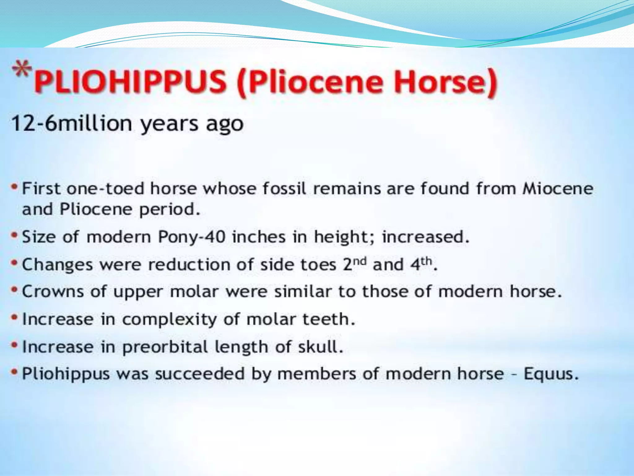 Phylogenetic tree and its construction and phylogeny of | PPTX