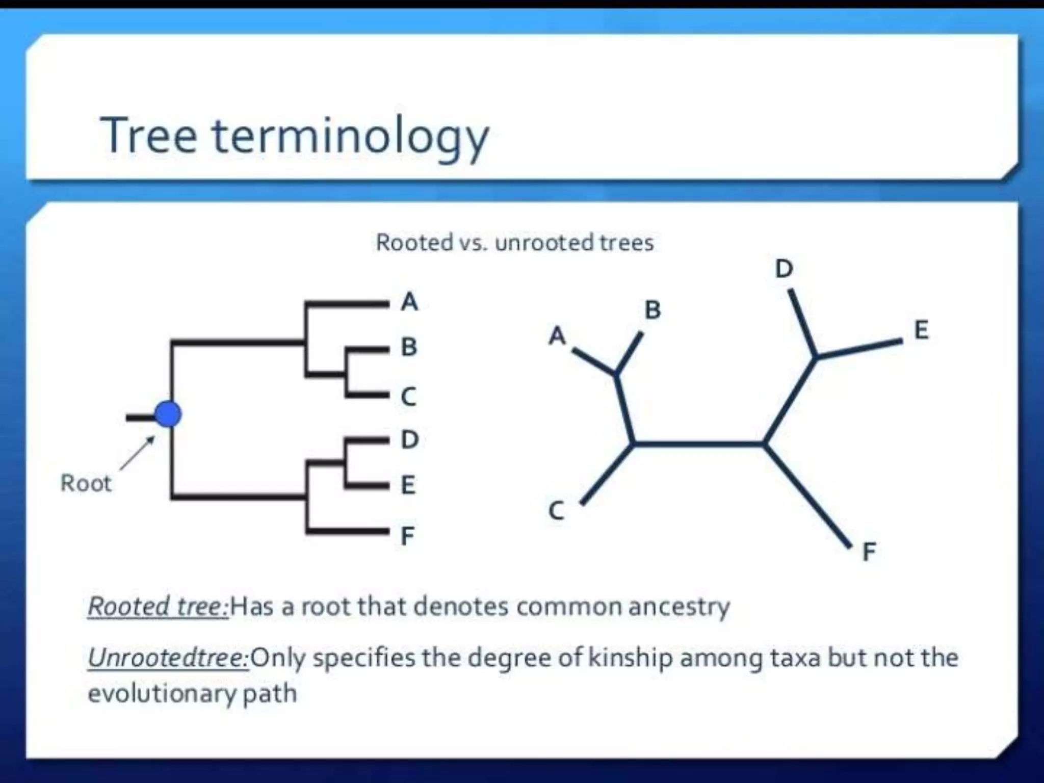 Phylogenetic tree and its construction and phylogeny of | PPTX