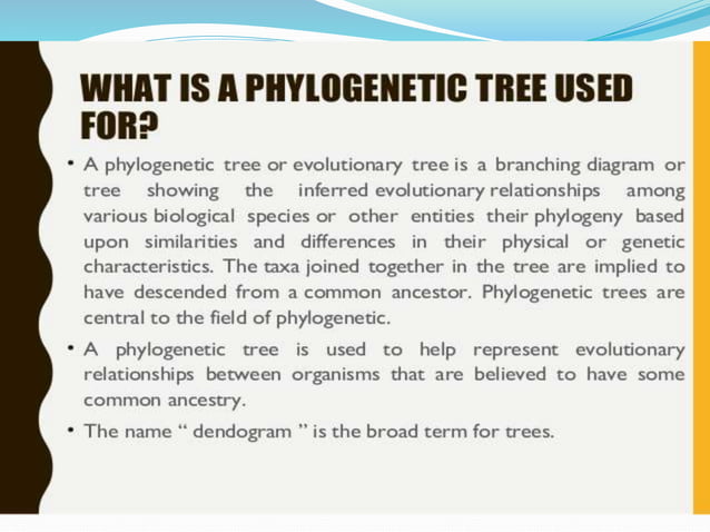 Phylogenetic tree and its construction and phylogeny of | PPTX
