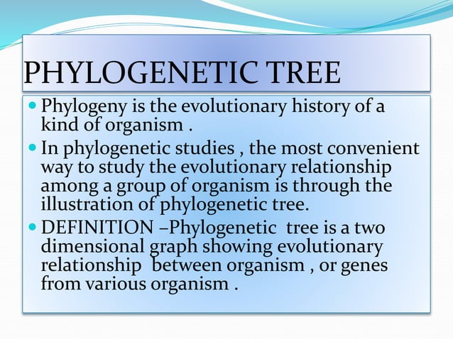 Phylogenetic tree and its construction and phylogeny of | PPTX