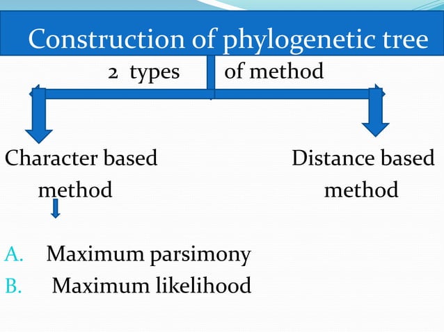 Phylogenetic tree and its construction and phylogeny of | PPTX