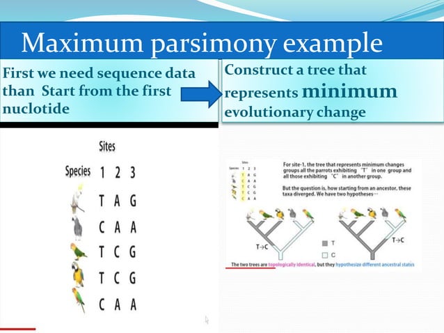 Phylogenetic tree and its construction and phylogeny of | PPTX